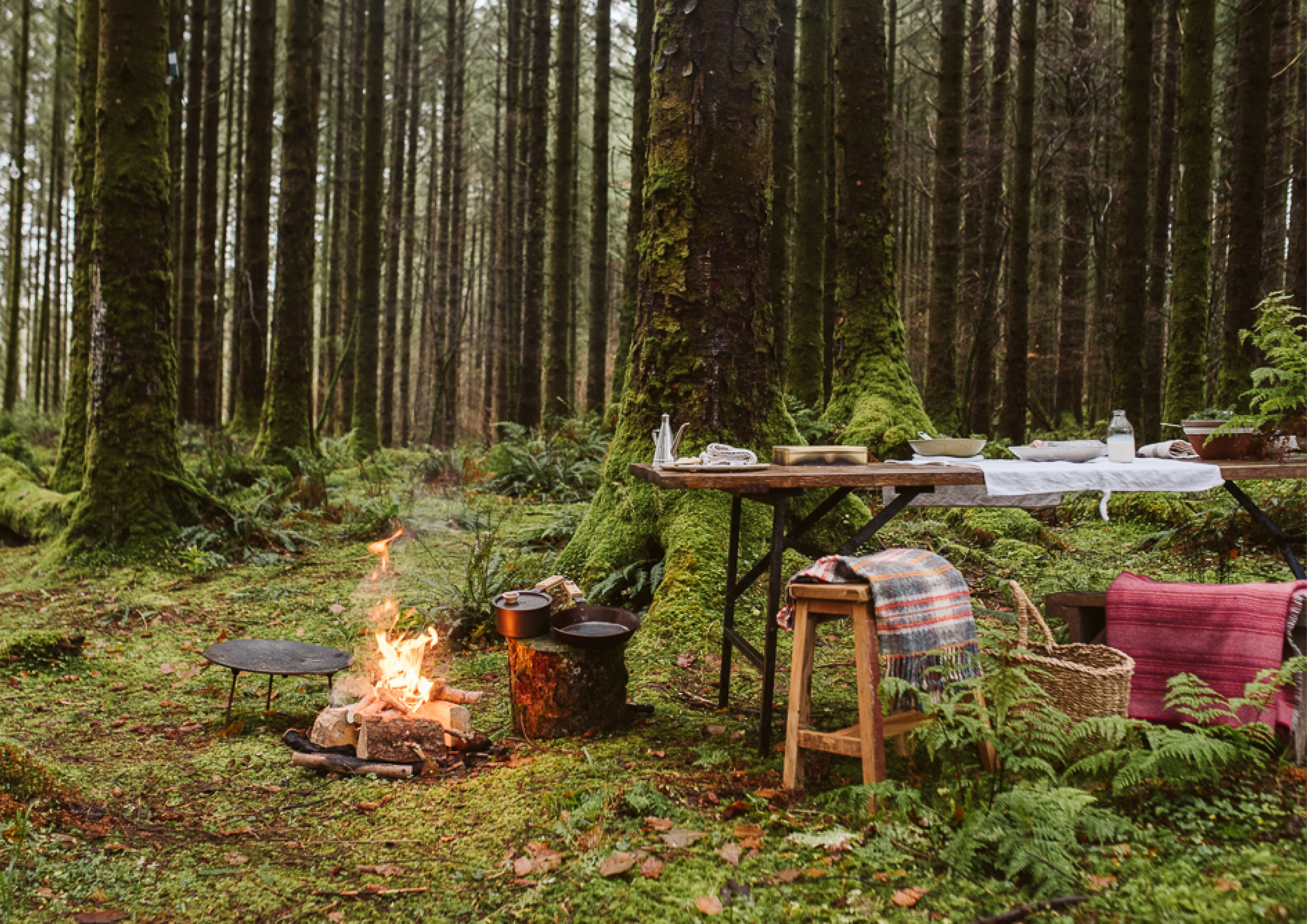 A Smoked Pine Recipe by Lens & Larder | Time to Make | TOAST Magazine