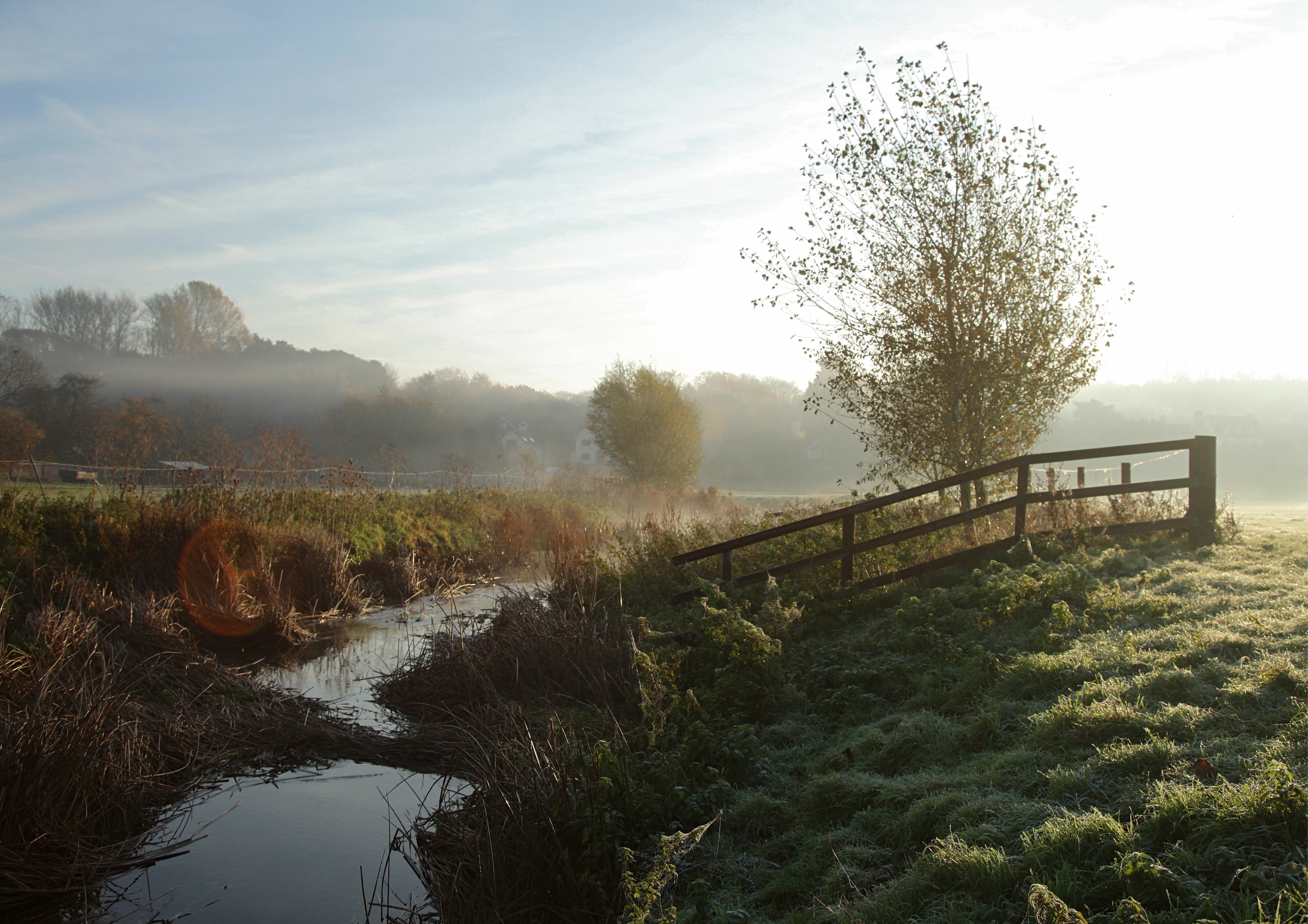 Calibrating a Rural Relocation | TOAST Magazine