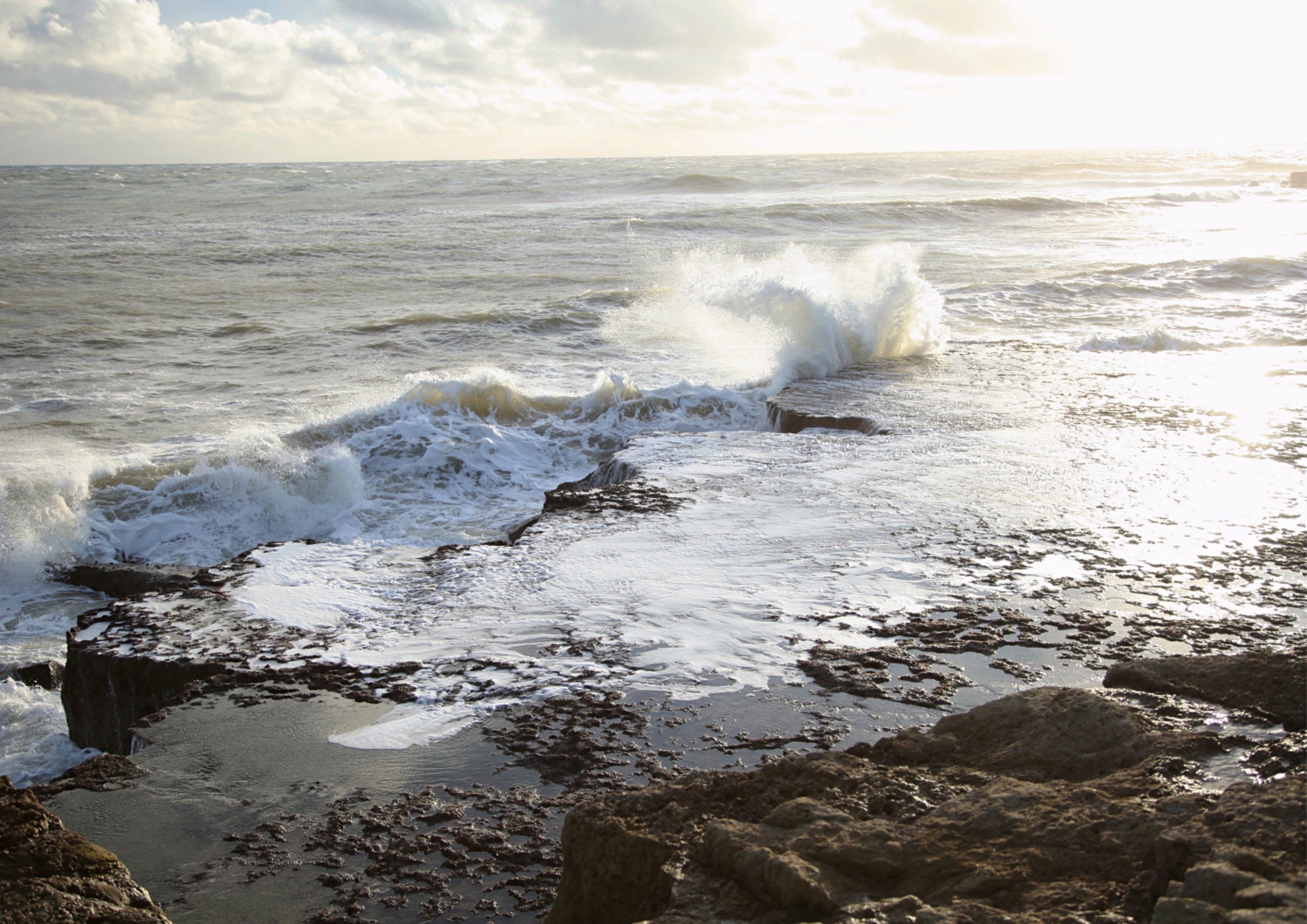 Notes from a Winter Shoreline | TOAST Magazine