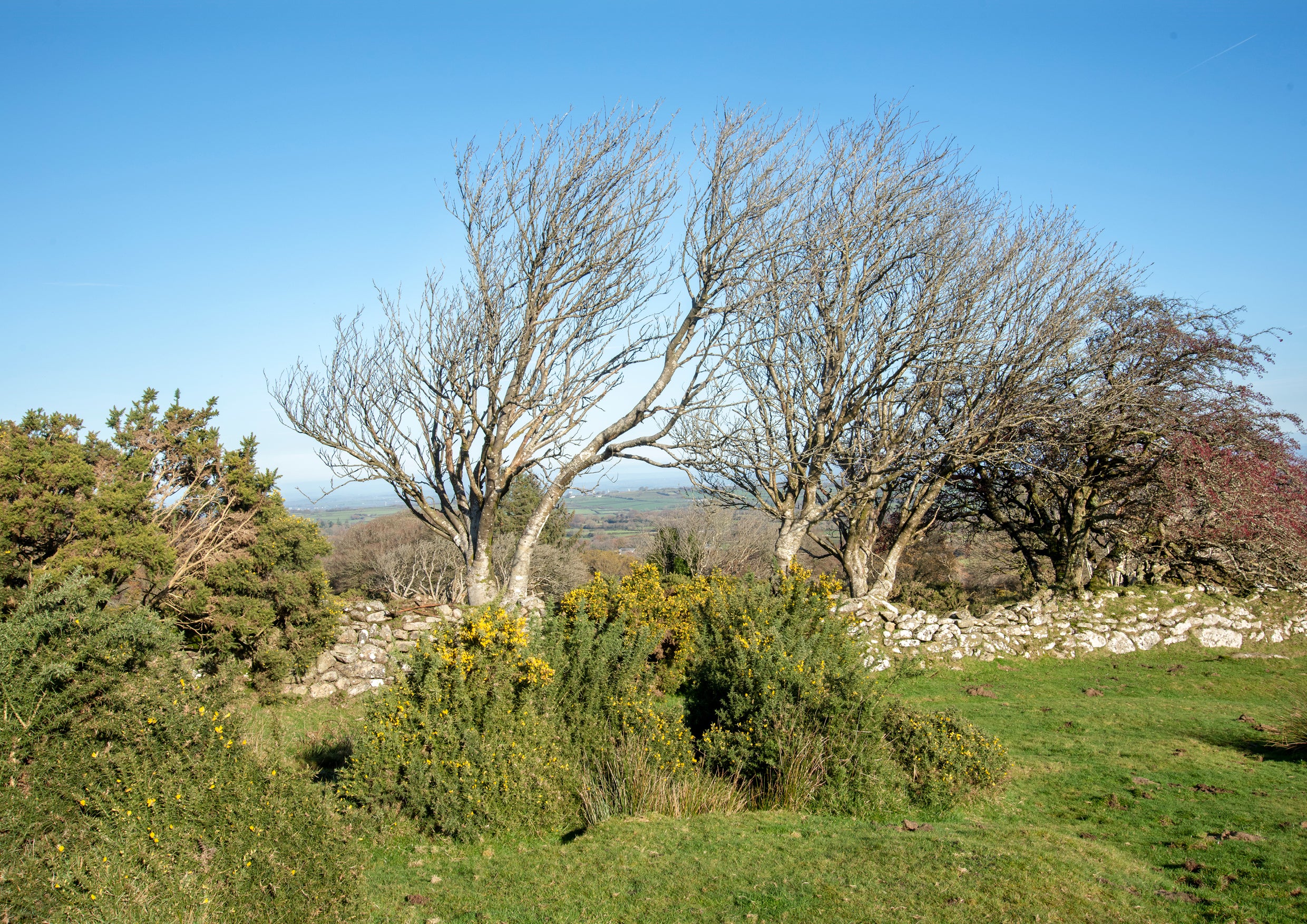 Patchwork Hills and Ancient Stones: A Solitary Walk Through Dartmoor ...