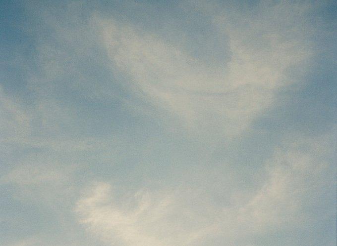 EARLY MORNING AND THE LIGHT PALE AND CLEAR OVERHEAD | TOAST Magazine