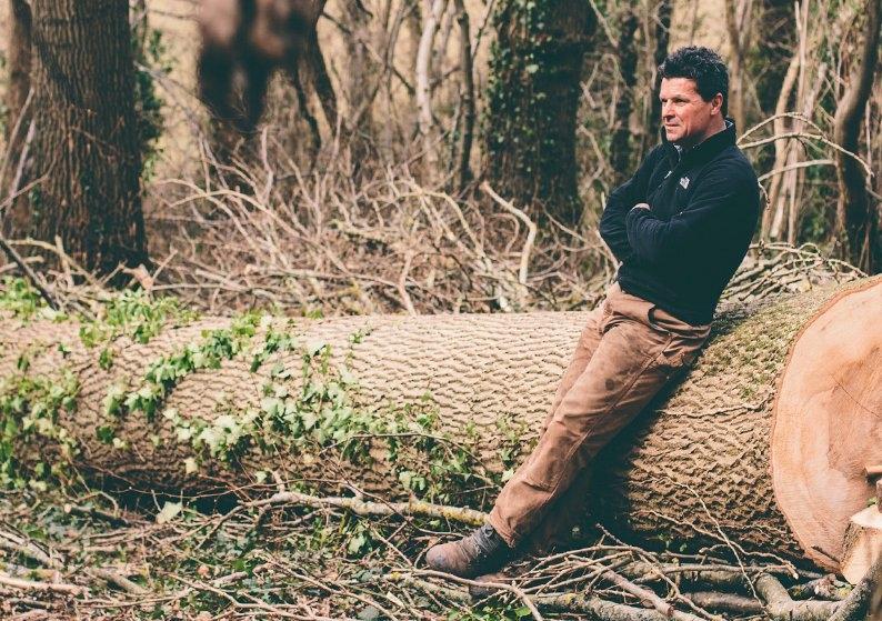 Honouring The Ash Tree | TOAST Magazine