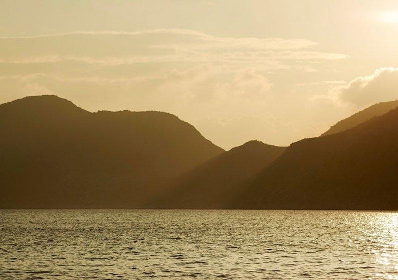 NUMINOUS | TOAST Magazine