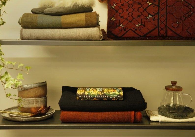 The Essex Serpent by Sarah Perry | Book Club | TOAST Magazine