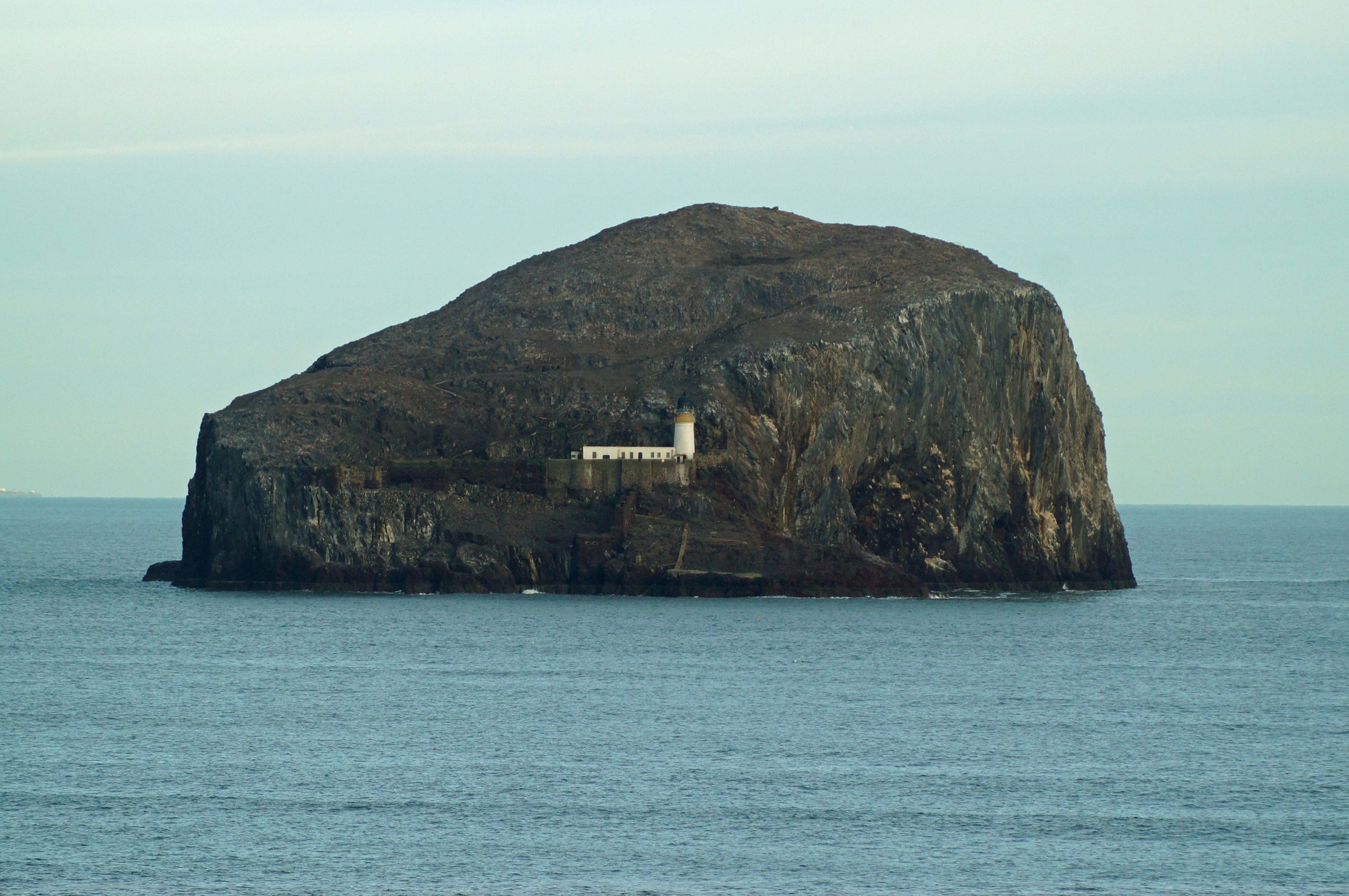 The Bass Rock by Evie Wyld | Book Club | TOAST Magazine