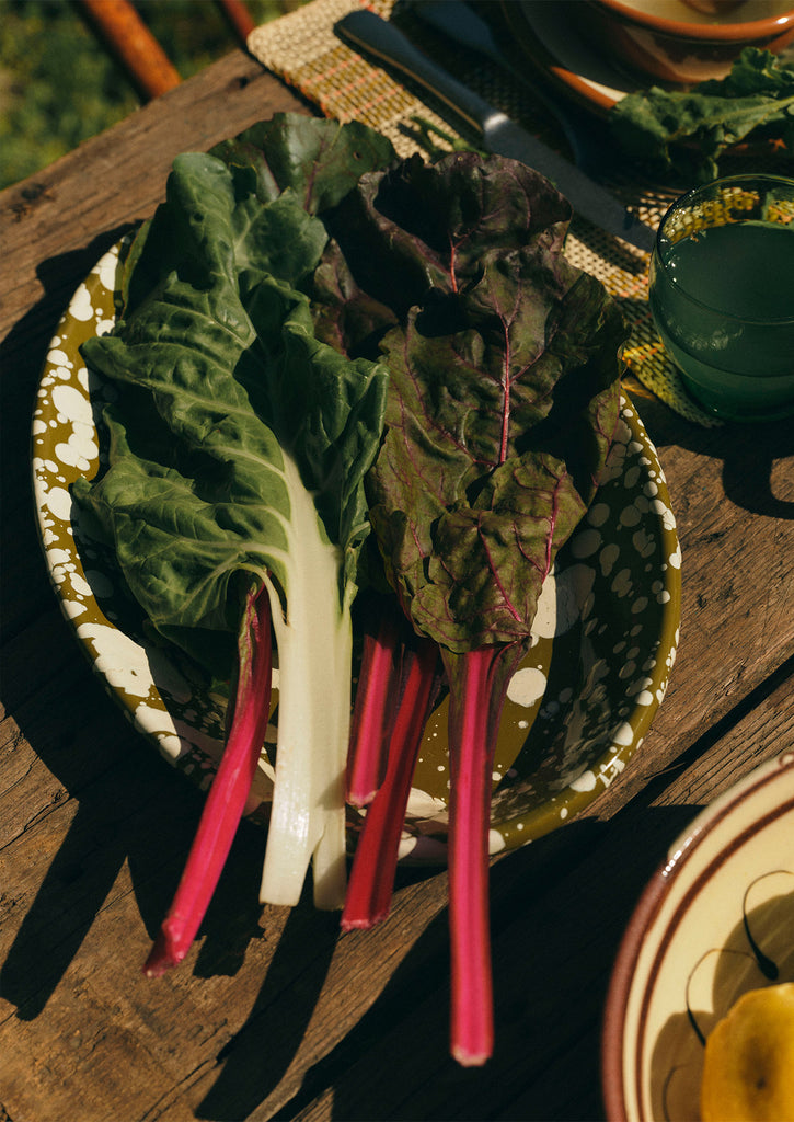 Splatter Enamel Platter | Olive/Ecru | TOAST