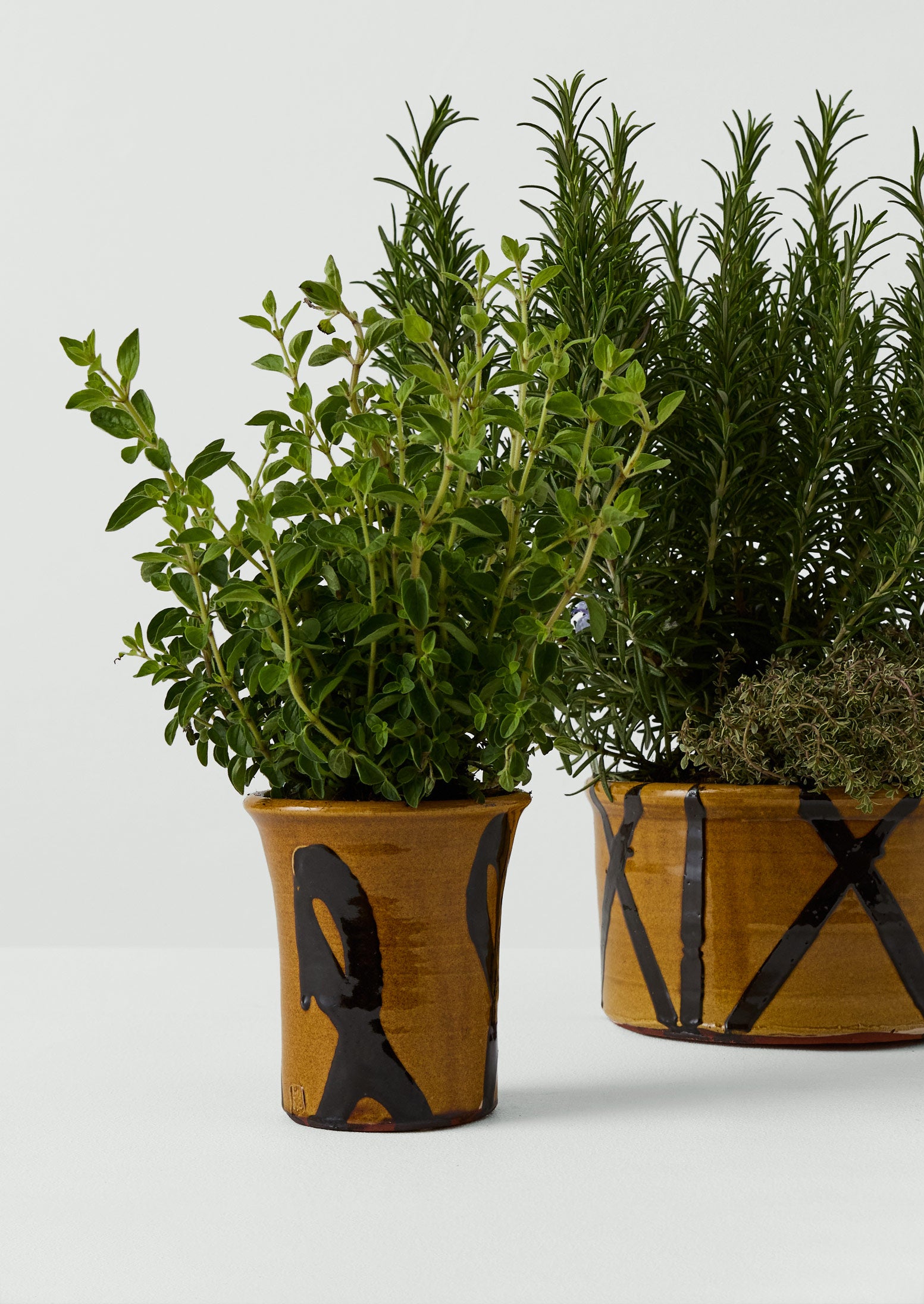 Hoxton Gardenware Large Slipware Planter | Honey | TOAST